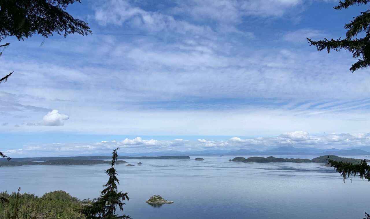 Telegraph Cove Attractions | Telegraph Cove Marina & RV Park